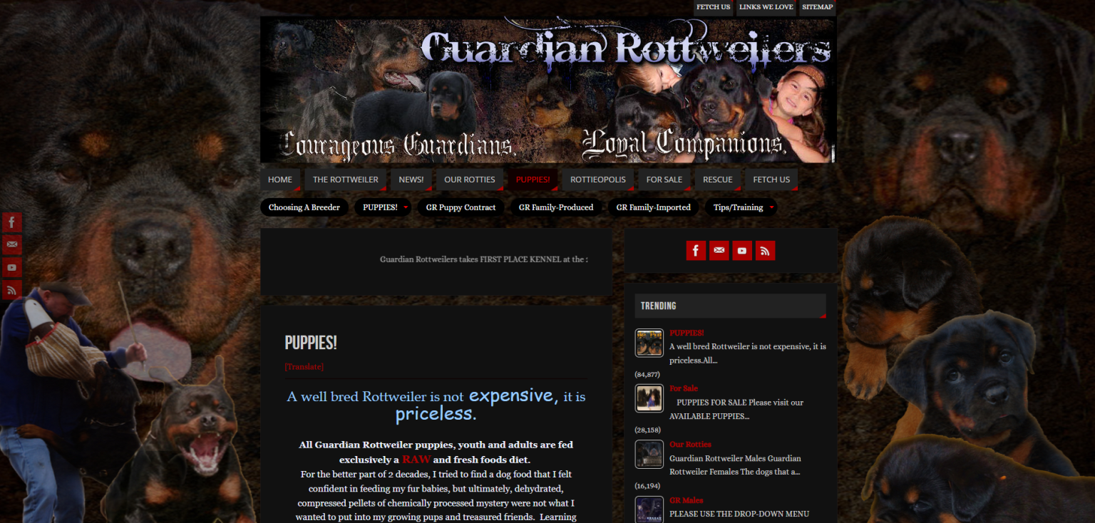 Guardian Rottweilers – Build the Scene